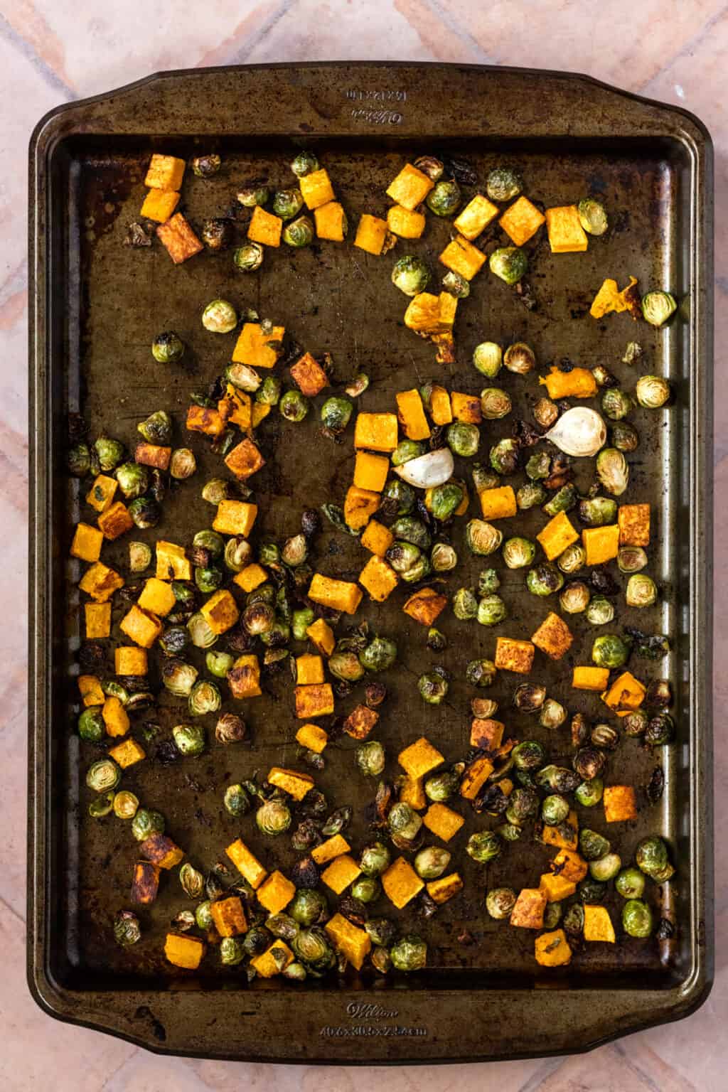 Healthy Fall Harvest Pasta Salad | Toshi's Table