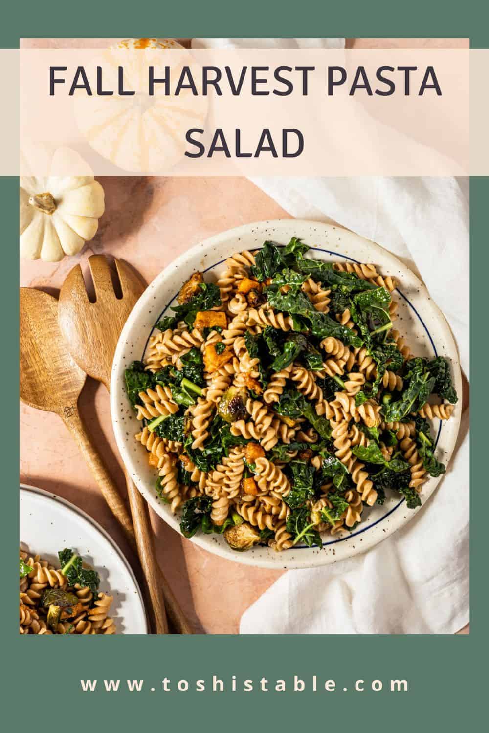 Healthy Fall Harvest Pasta Salad | Toshi's Table