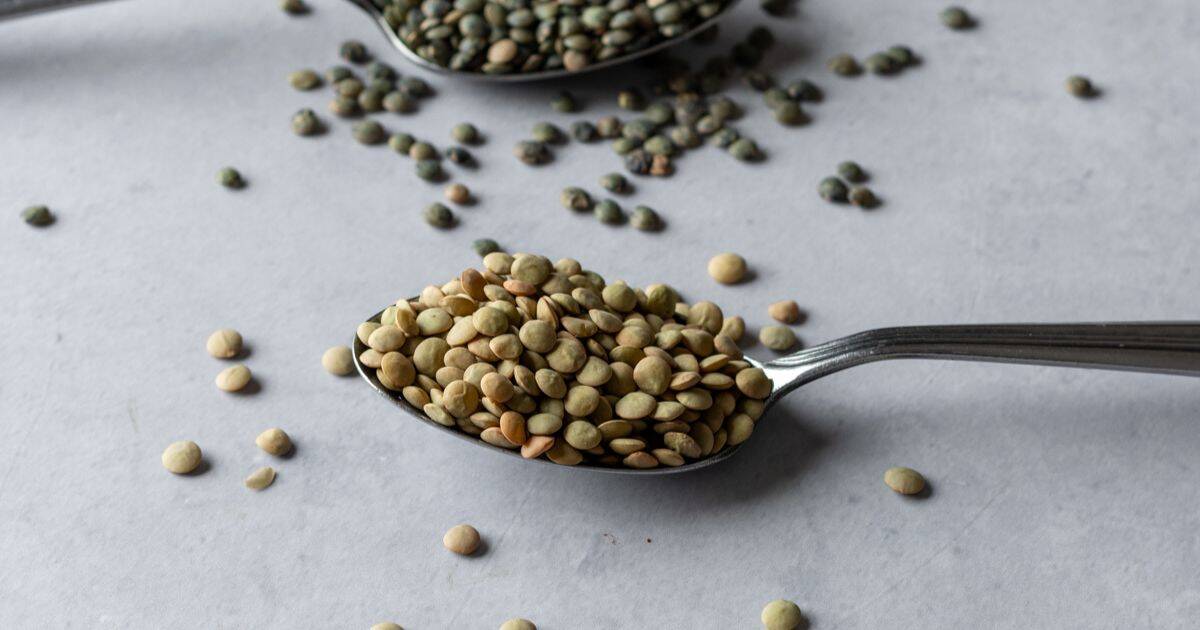 How to Cook Lentils | Toshi's Table